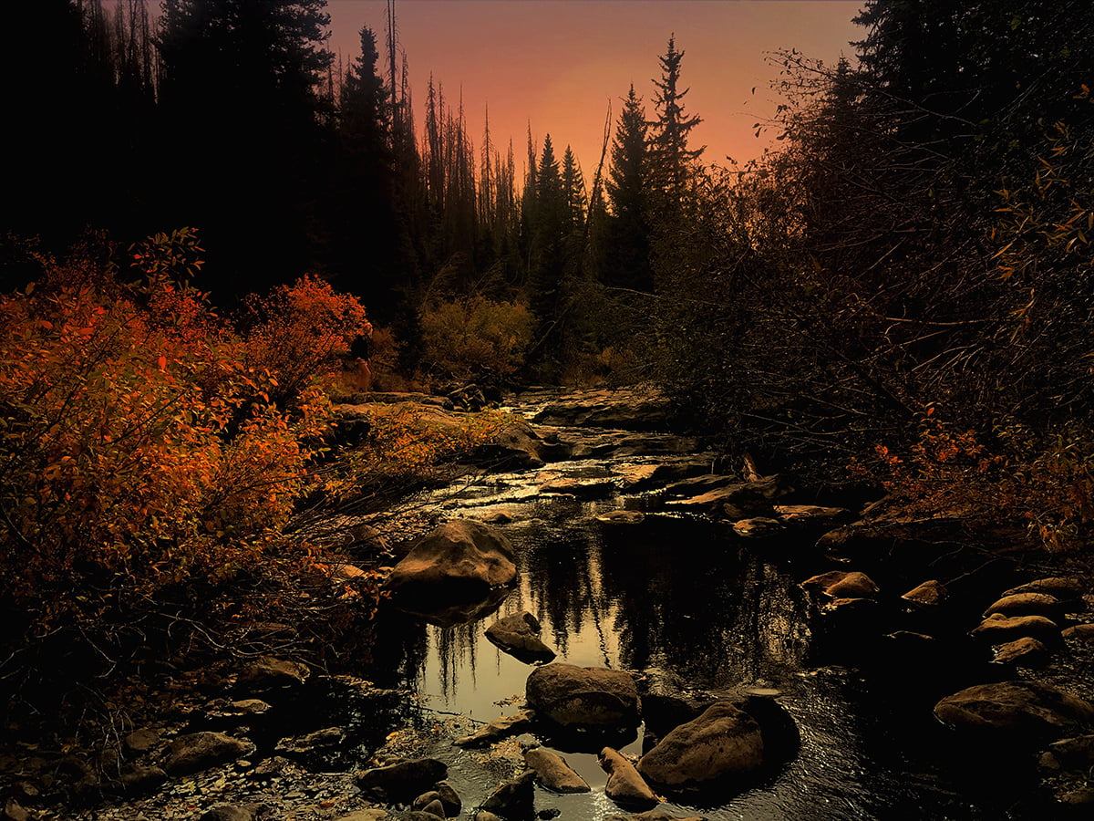 Wicked Fall - TOLLISON PICTURES